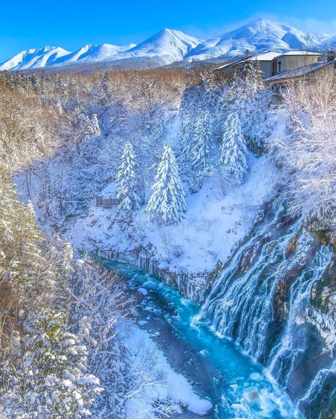 [Hokkaido Summer Internet Celebrity Check-in] Patchwork Road Seven Star ...